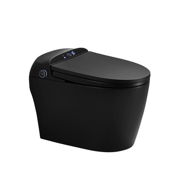 Smart Toilet – Modland